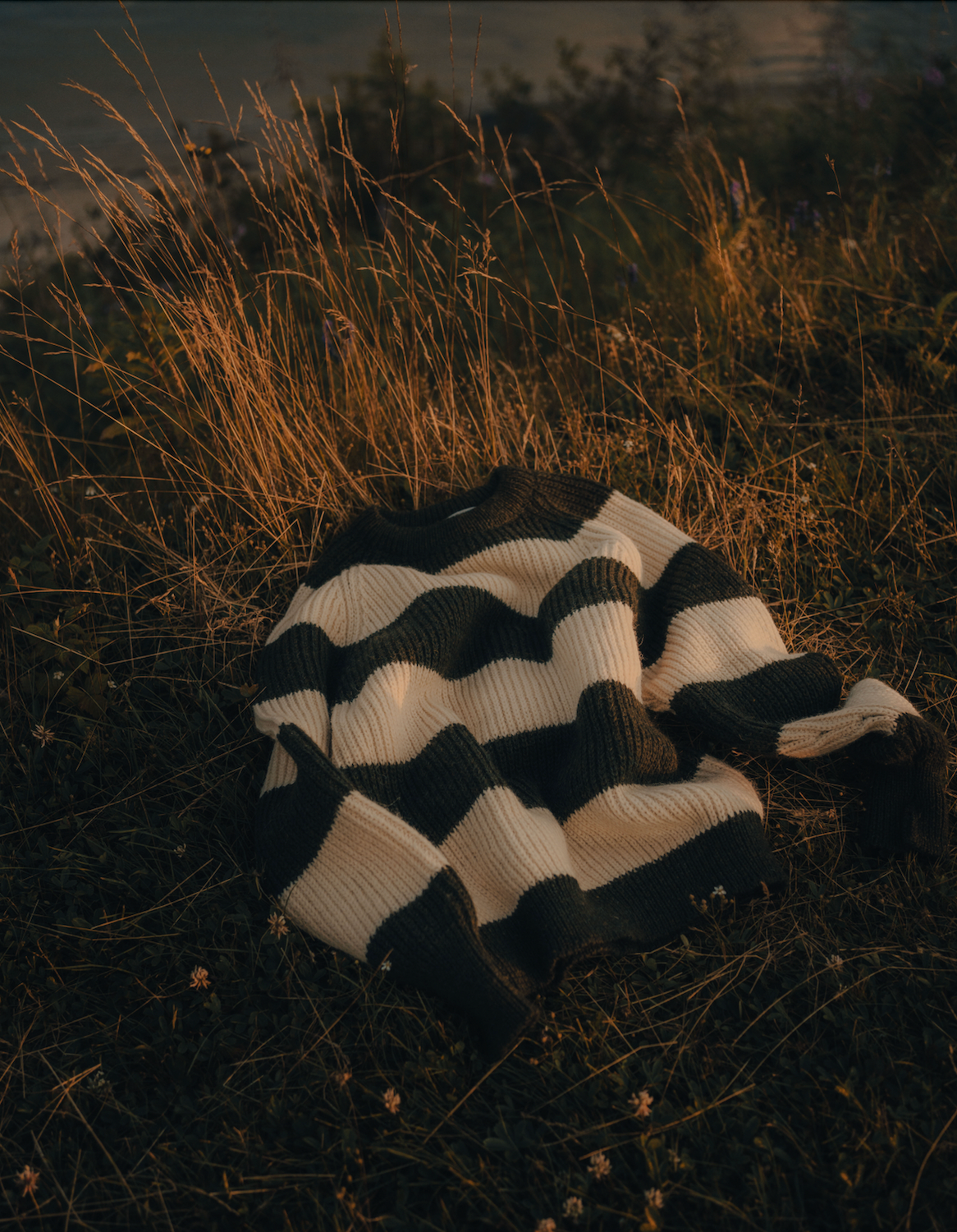 Sel Saint Laurent and the Art of Cold – miloanddexter