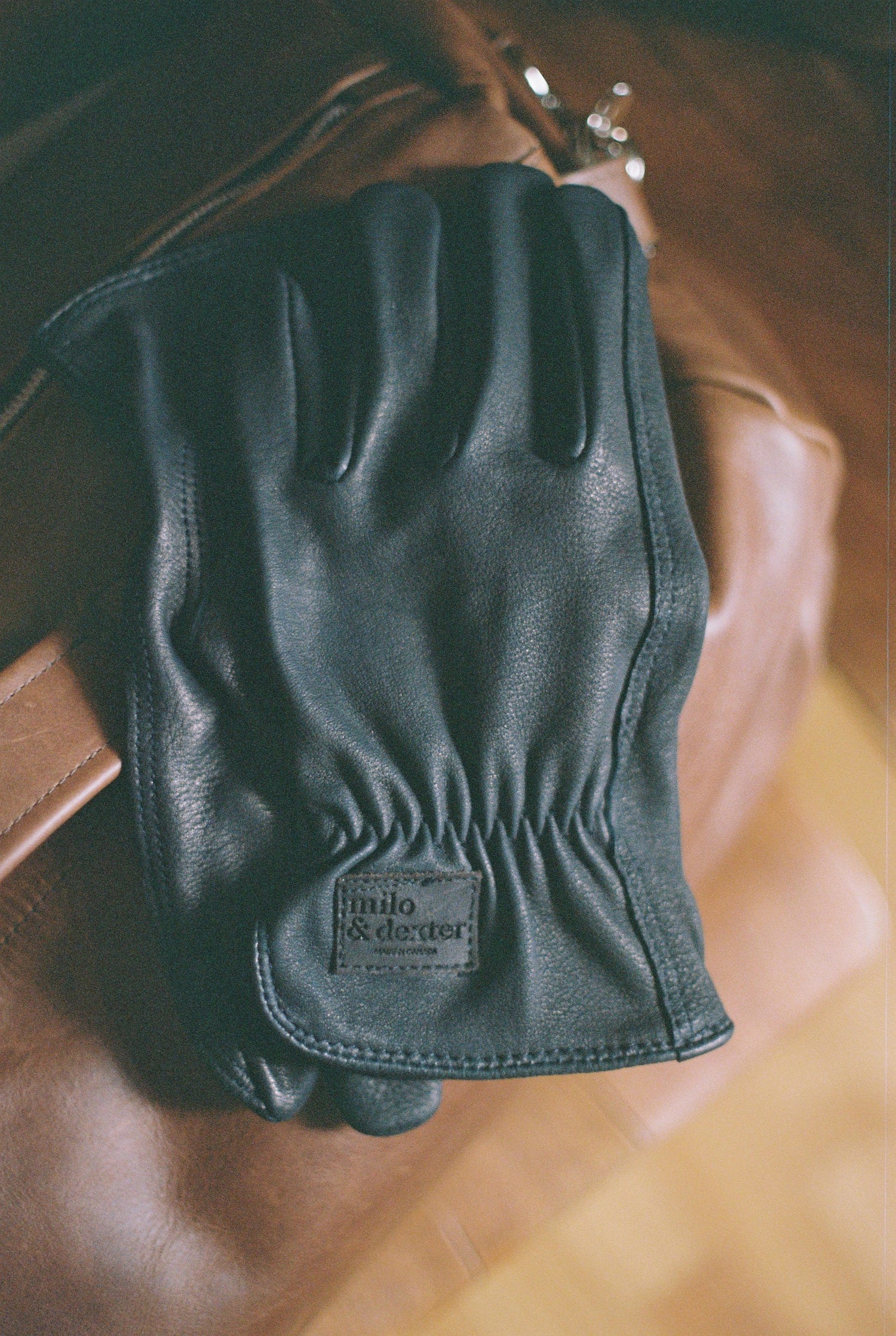 ABOUT MILO & DEXTER – miloanddexter