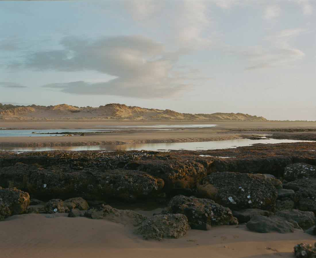 Milo & Dexter - Canadian made classics – miloanddexter